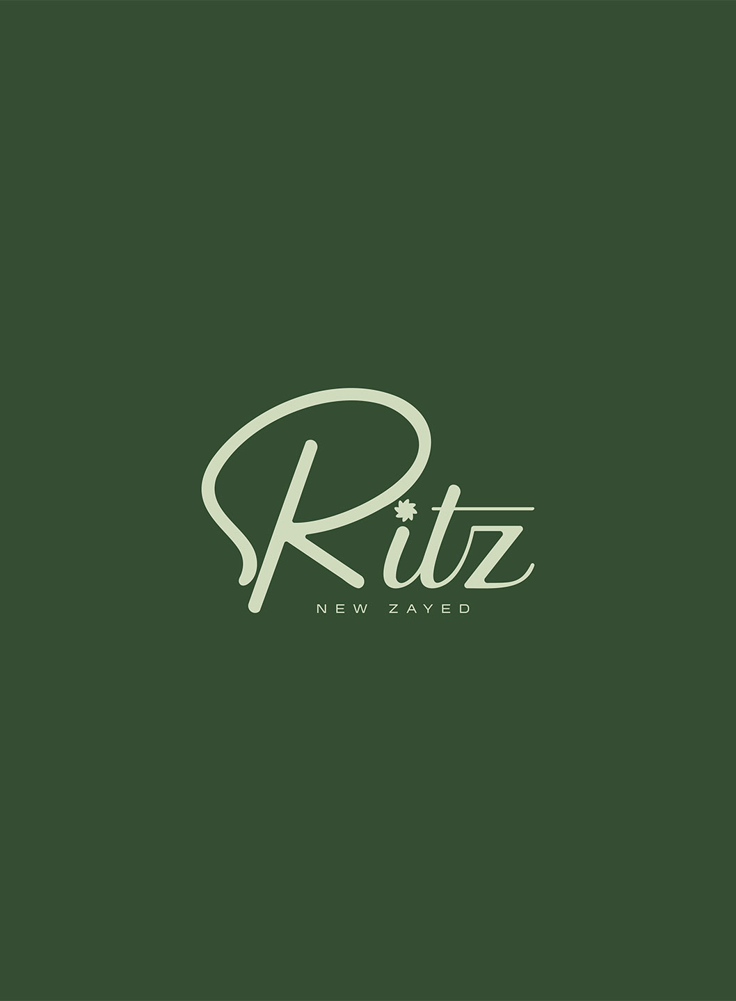 RITZ New Zayed - ARQA Development Group